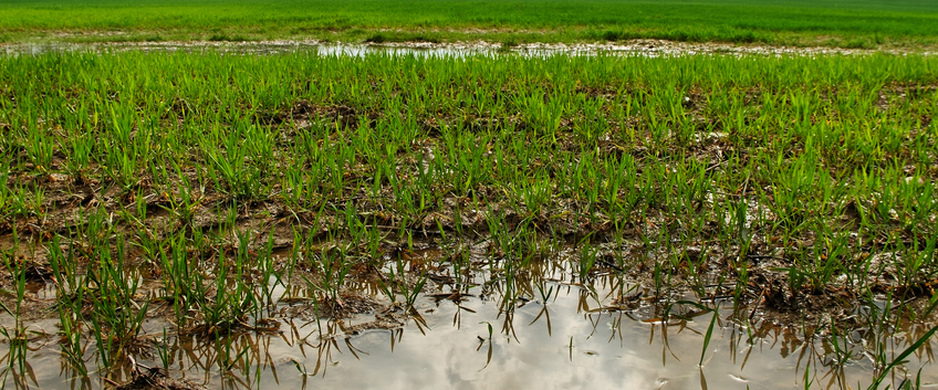 More Permits and Paperwork for Farmers? | New Hampshire Farm Bureau ...