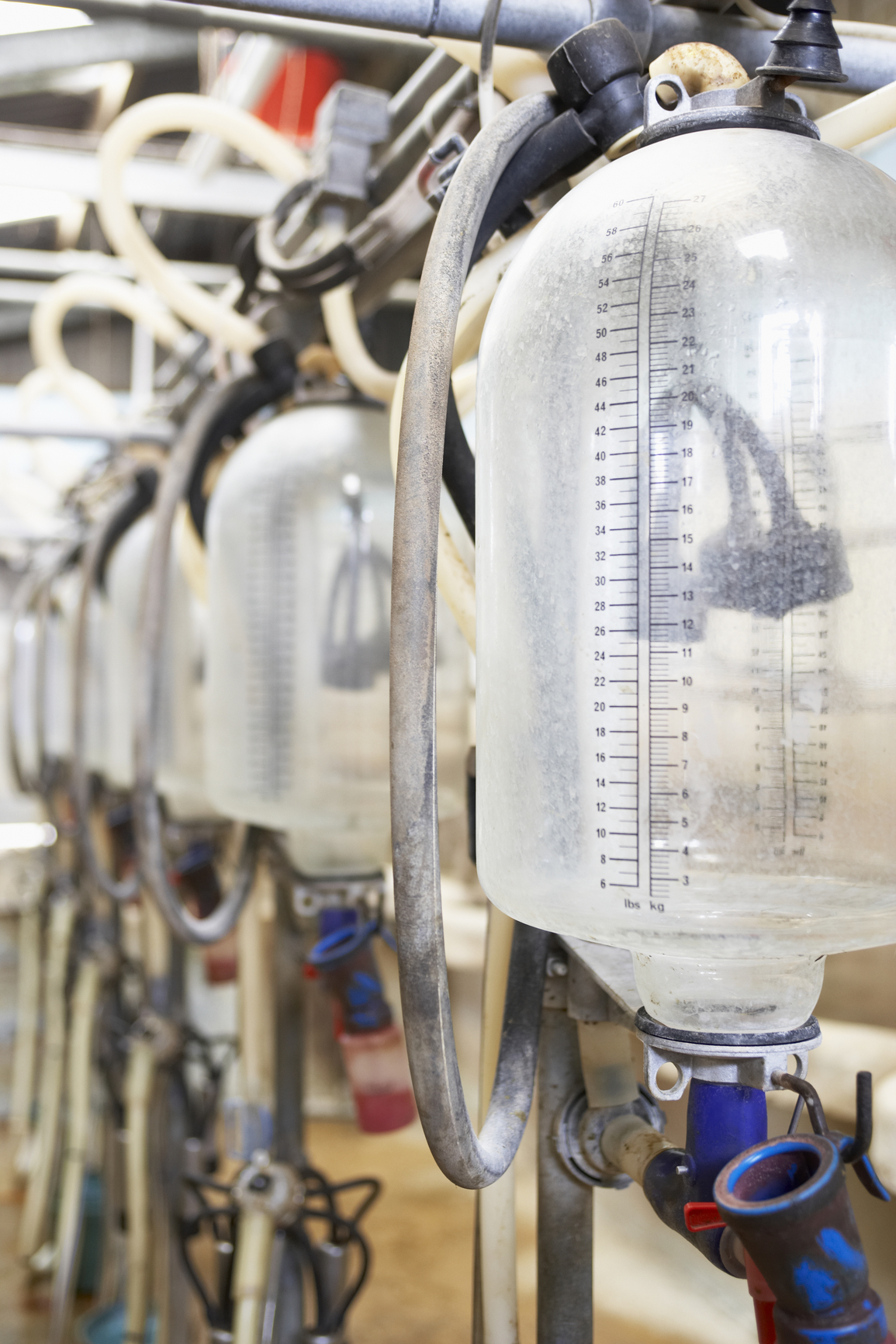 New Hampshire Has Seat at the Table for Federal Milk Marketing Order ...